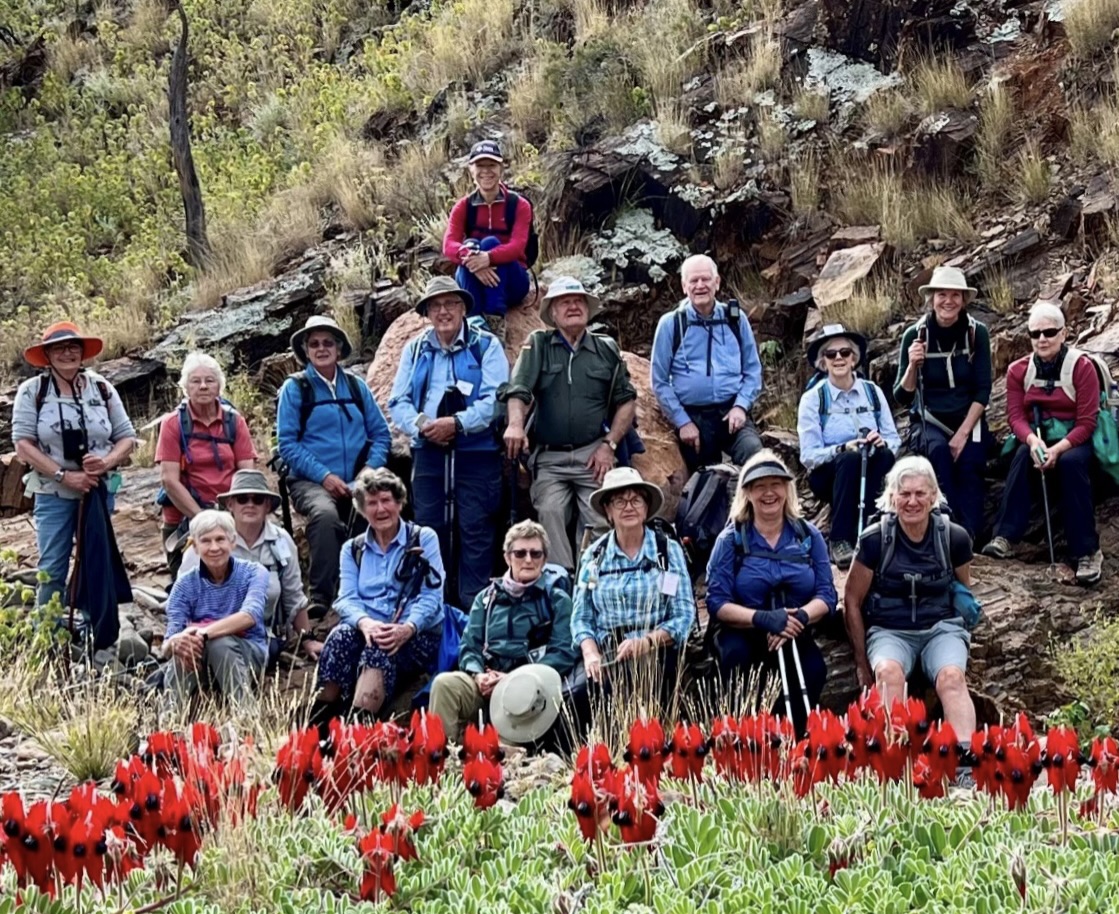 Balcanoona Gammon Ranges Vulkathunha National Park C+ Camp, July 20-27 ...